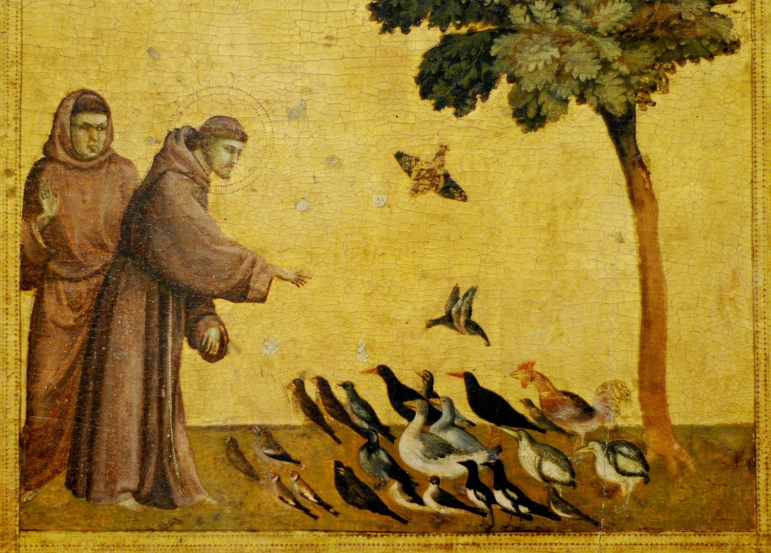 Św. Franciszek z Asyżu – znany i nieznany